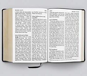 ESV Super Giant Print(Font Size - 17pt) Bible (TruTone, Black)