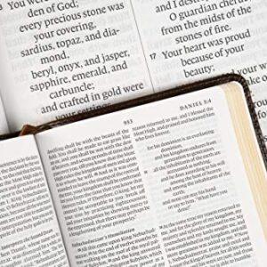 ESV Super Giant Print(Font Size - 17pt) Bible (TruTone, Black)