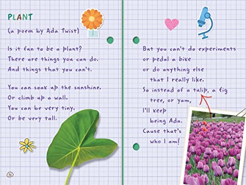 All About Plants! (Ada Twist, Scientist: The Why Files #2) (The Questioneers)