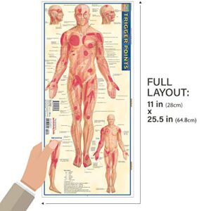 Trigger Points QuickStudy Laminated Reference Guide (QuickStudy Academic)