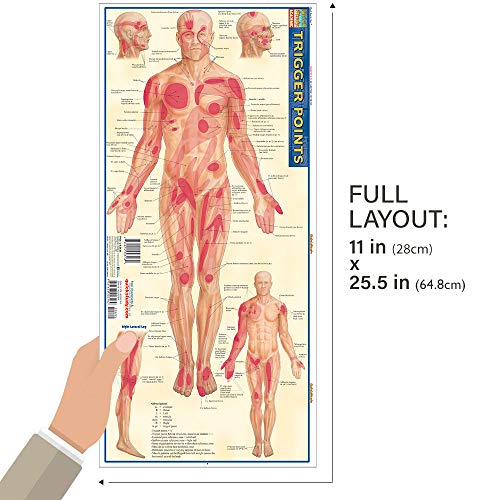 Trigger Points QuickStudy Laminated Reference Guide (QuickStudy Academic)