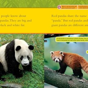 Red Pandas (National Geographic Kids Readers, Level 1)