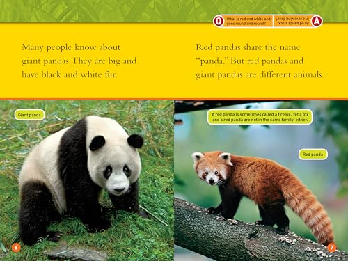 Red Pandas (National Geographic Kids Readers, Level 1)