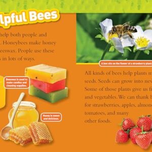 Bees (National Geographic Kids Readers, Level 2)