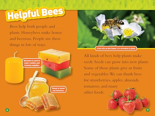 Bees (National Geographic Kids Readers, Level 2)