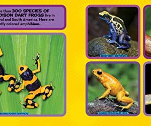 National Geographic Little Kids First Big Book of Reptiles and Amphibians (National Geographic Little Kids First Big Books)