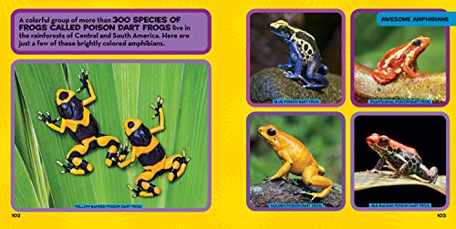 National Geographic Little Kids First Big Book of Reptiles and Amphibians (National Geographic Little Kids First Big Books)