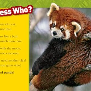 Red Pandas (National Geographic Kids Readers, Level 1)