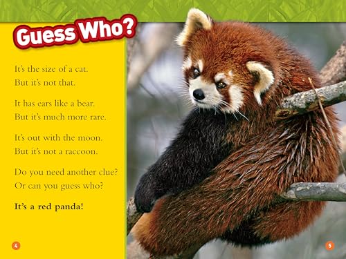 Red Pandas (National Geographic Kids Readers, Level 1)