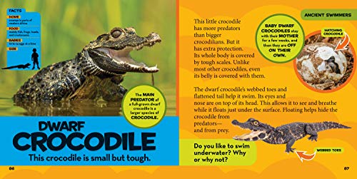 National Geographic Little Kids First Big Book of Reptiles and Amphibians (National Geographic Little Kids First Big Books)