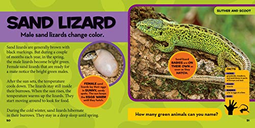 National Geographic Little Kids First Big Book of Reptiles and Amphibians (National Geographic Little Kids First Big Books)