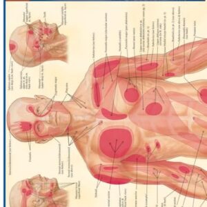 Trigger Points QuickStudy Laminated Reference Guide (QuickStudy Academic)