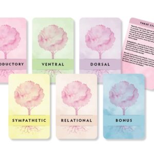 Polyvagal Card Deck: 58 Practices for Calm and Change