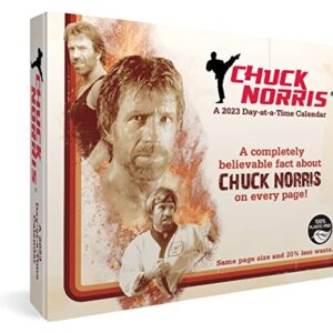 2023 Chuck Norris Day-at-a-Time Box Calendar