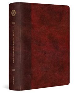 esv single column journaling bible, large print (trutone, burgundy/red, timeless design)