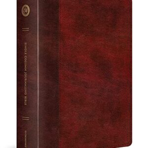 ESV Single Column Journaling Bible, Large Print (TruTone, Burgundy/Red, Timeless Design)