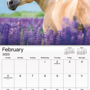 2023 Horses Mini Wall Calendar