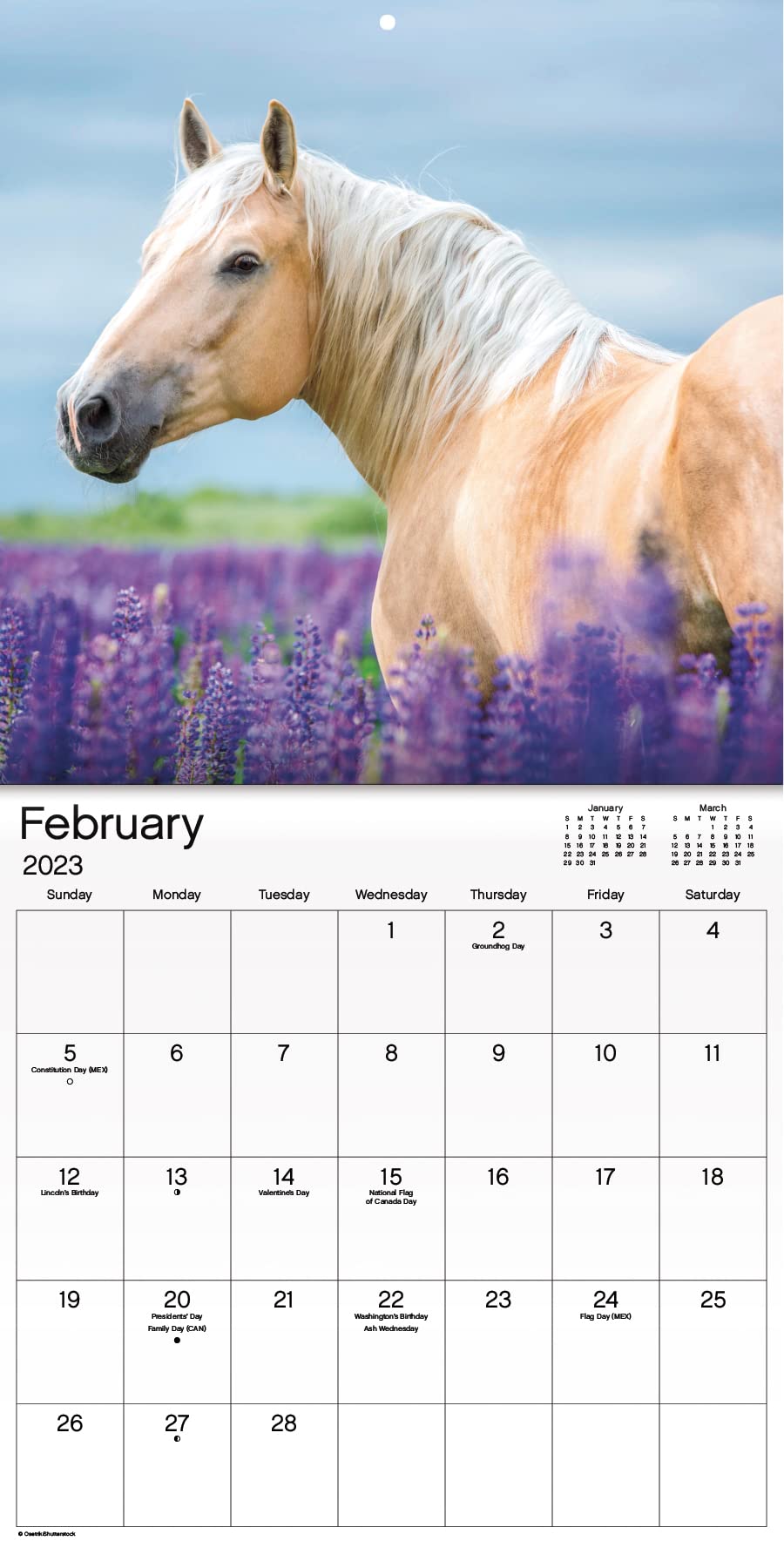 2023 Horses Mini Wall Calendar