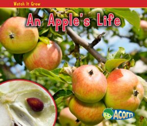 an apple's life (watch it grow)