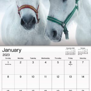 2023 Horses Mini Wall Calendar