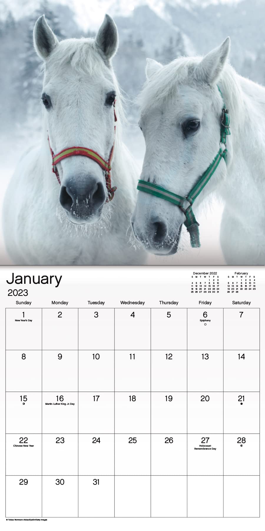 2023 Horses Mini Wall Calendar