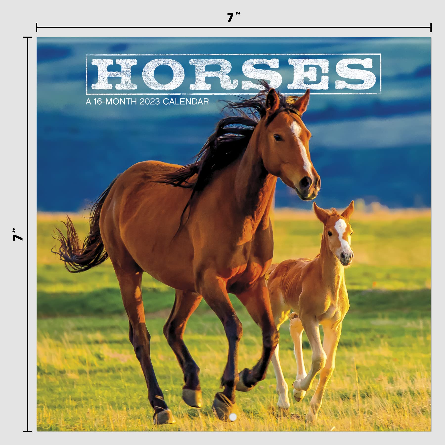 2023 Horses Mini Wall Calendar