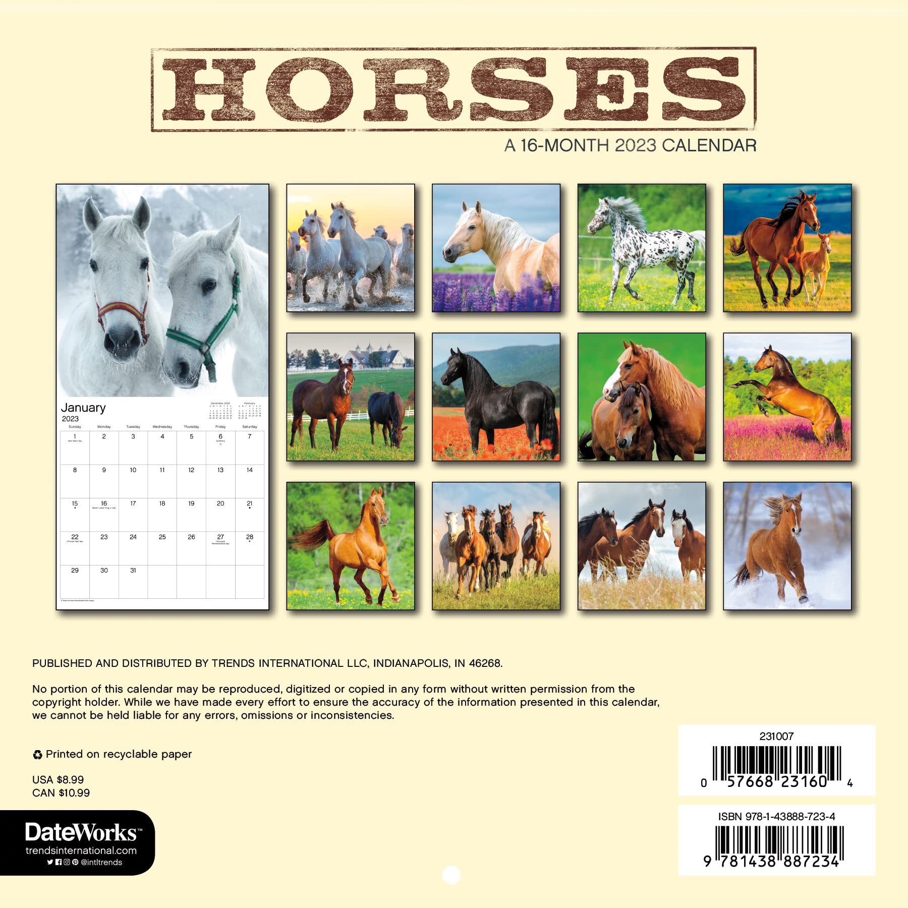 2023 Horses Mini Wall Calendar