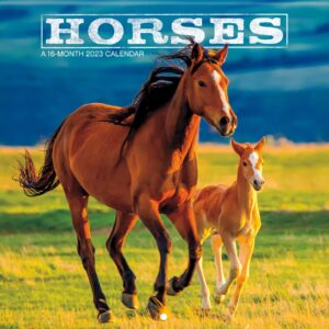 2023 horses mini wall calendar