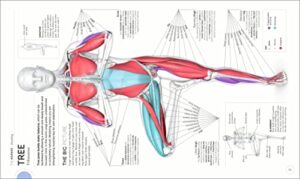 Science of Yoga: Understand the Anatomy and Physiology to Perfect Your Practice (DK Science of)