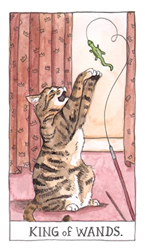 Cat Tarot: 78 Cards & Guidebook (-)