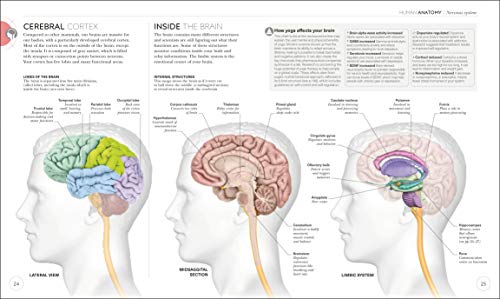 Science of Yoga: Understand the Anatomy and Physiology to Perfect Your Practice (DK Science of)