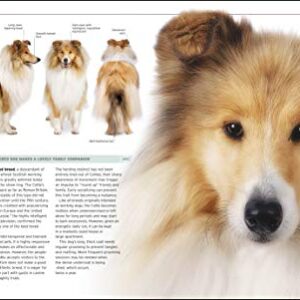 The Complete Dog Breed Book, New Edition (DK Definitive Pet Breed Guides)