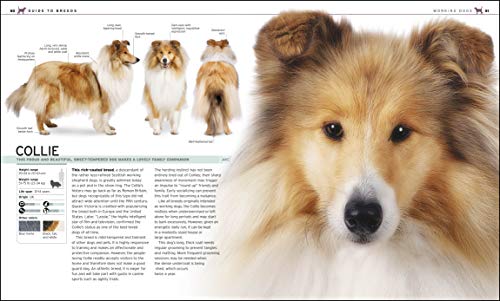 The Complete Dog Breed Book, New Edition (DK Definitive Pet Breed Guides)