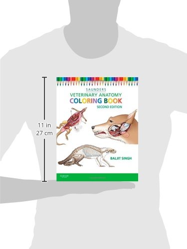 Veterinary Anatomy Coloring Book