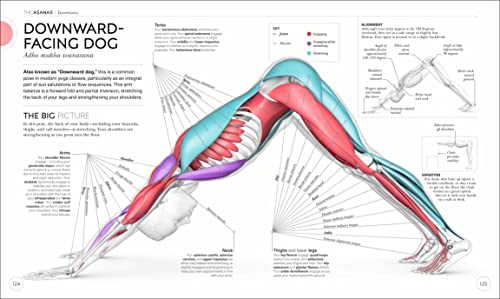 Science of Yoga: Understand the Anatomy and Physiology to Perfect Your Practice (DK Science of)