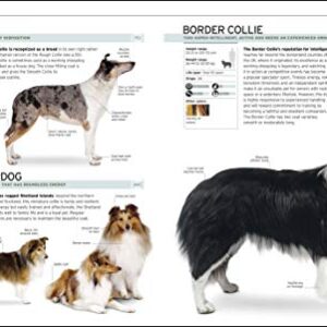 The Complete Dog Breed Book, New Edition (DK Definitive Pet Breed Guides)