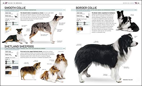 The Complete Dog Breed Book, New Edition (DK Definitive Pet Breed Guides)