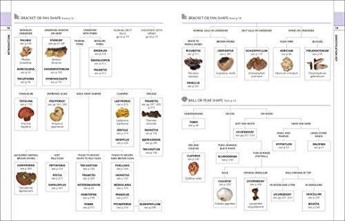 Mushrooms: How to Identify and Gather Wild Mushrooms and Other Fungi