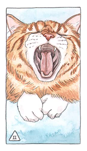 Cat Tarot: 78 Cards & Guidebook (-)