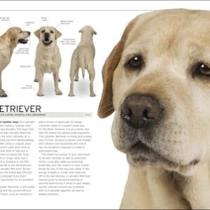 The Complete Dog Breed Book, New Edition (DK Definitive Pet Breed Guides)