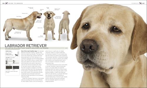 The Complete Dog Breed Book, New Edition (DK Definitive Pet Breed Guides)