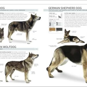 The Complete Dog Breed Book, New Edition (DK Definitive Pet Breed Guides)