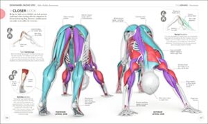 Science of Yoga: Understand the Anatomy and Physiology to Perfect Your Practice (DK Science of)