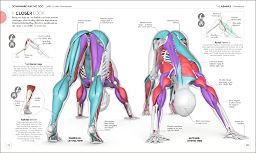 Science of Yoga: Understand the Anatomy and Physiology to Perfect Your Practice (DK Science of)