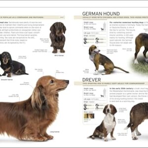 The Complete Dog Breed Book, New Edition (DK Definitive Pet Breed Guides)