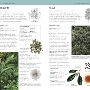 Herbal Remedies Handbook: More Than 140 Plant Profiles; Remedies for Over 50 Common Conditions