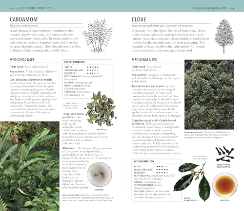 Herbal Remedies Handbook: More Than 140 Plant Profiles; Remedies for Over 50 Common Conditions