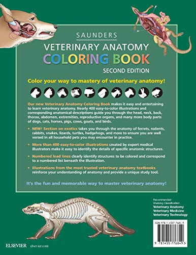 Veterinary Anatomy Coloring Book