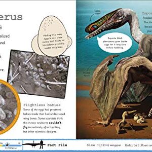 My Encyclopedia of Very Important Dinosaurs: Discover more than 80 Prehistoric Creatures (My Very Important Encyclopedias)