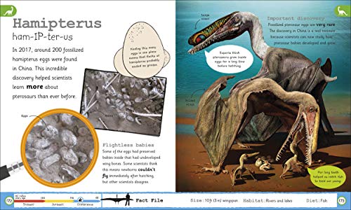 My Encyclopedia of Very Important Dinosaurs: Discover more than 80 Prehistoric Creatures (My Very Important Encyclopedias)